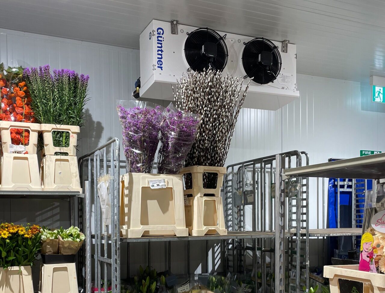 Flower Cold Storage | Preserve Freshness with Thermozone